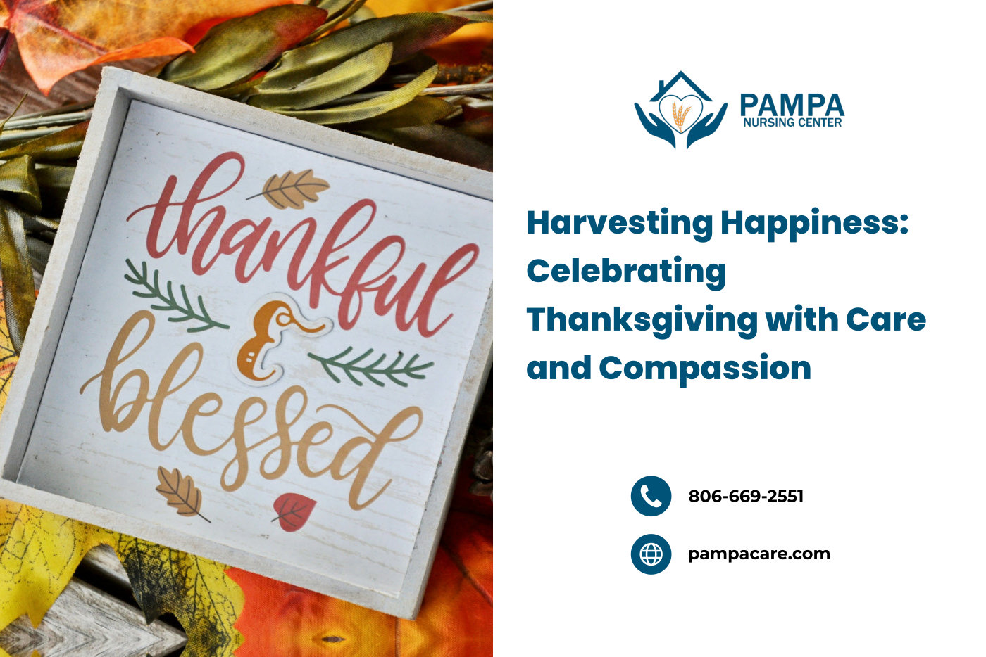 Harvesting Happiness: Celebrating Thanksgiving with Care and Compassion
